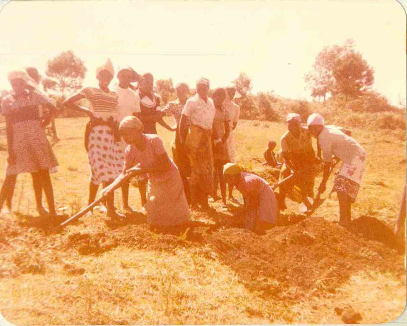 Gallery – Regina Caeli High School